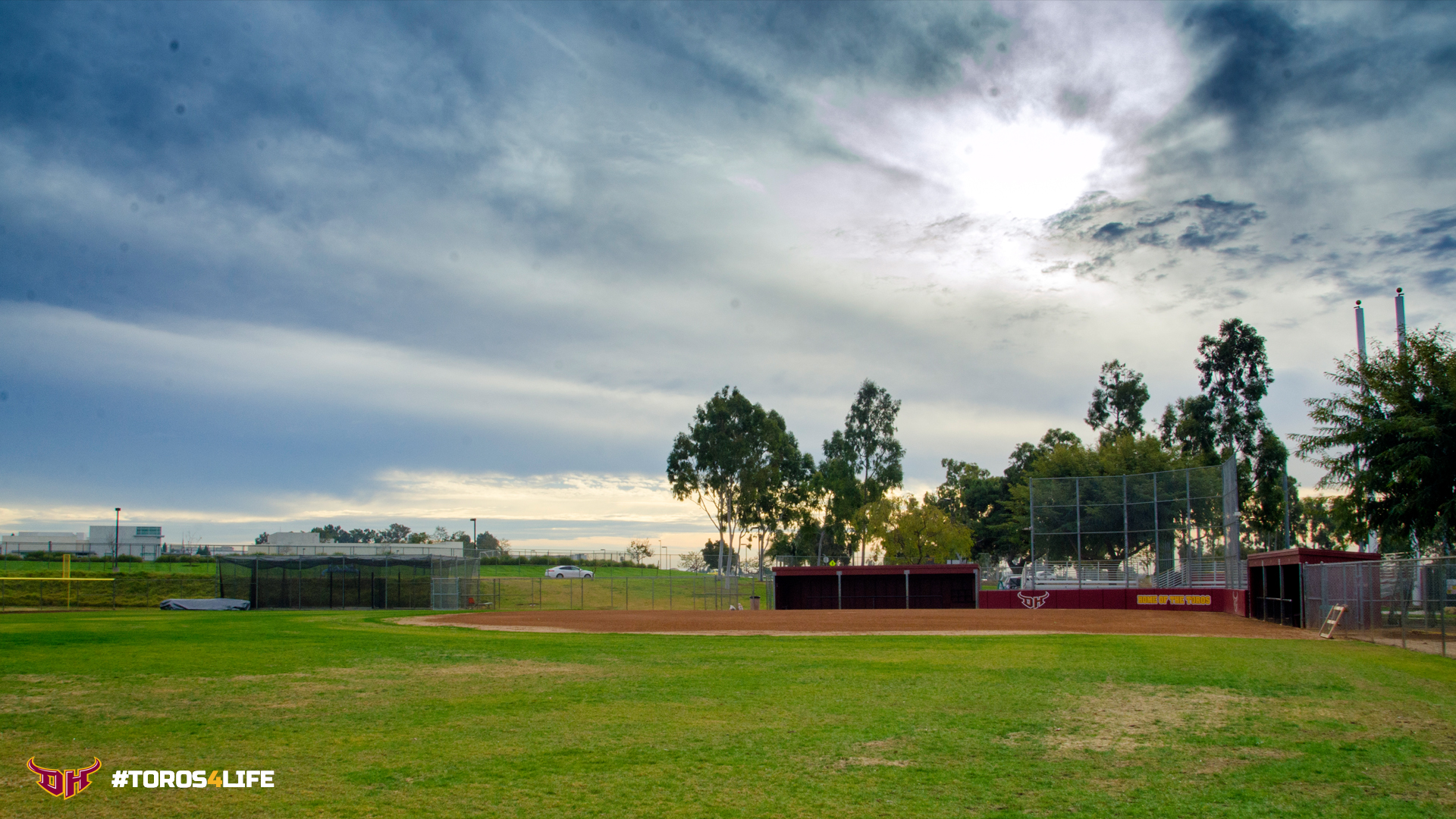 Athletics Zoom Backgrounds - Cal State Dominguez Hills Athletics
